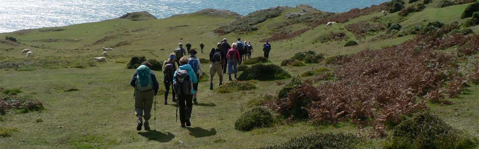Walking Programme - Chester Rambling and Hill Walking Club